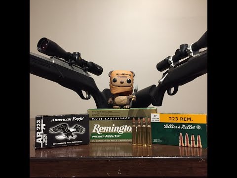 Lithgow Arms LA102 v Tikka T3 Lite