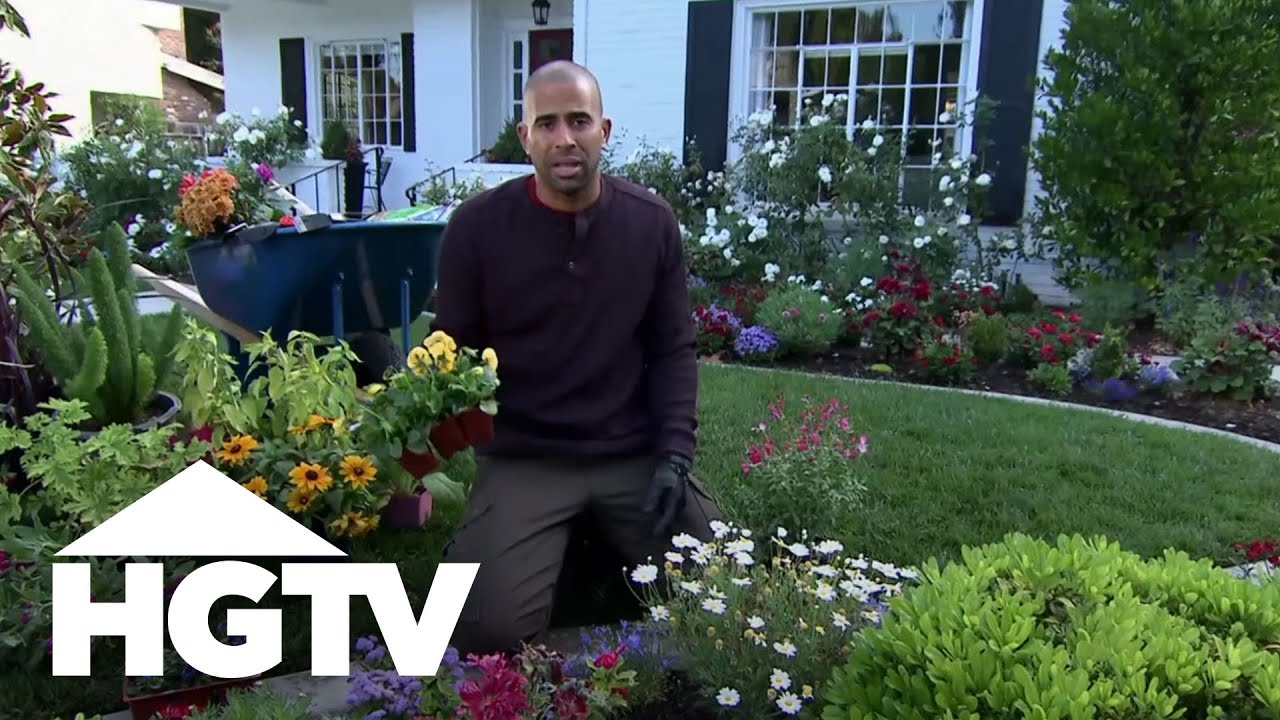 Annuals vs. Perennials | Gardening Tips | HGTV