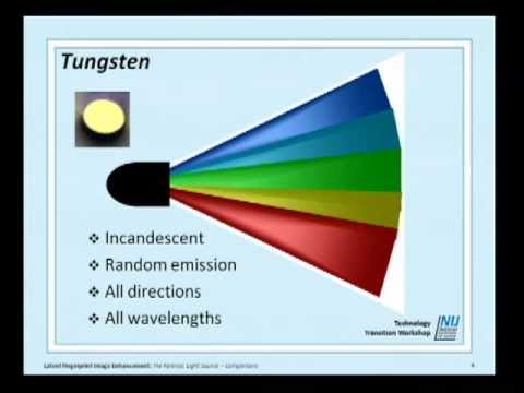 Latent Fingerprint Enhancement 2009 : Forensic Light Source Comparisons