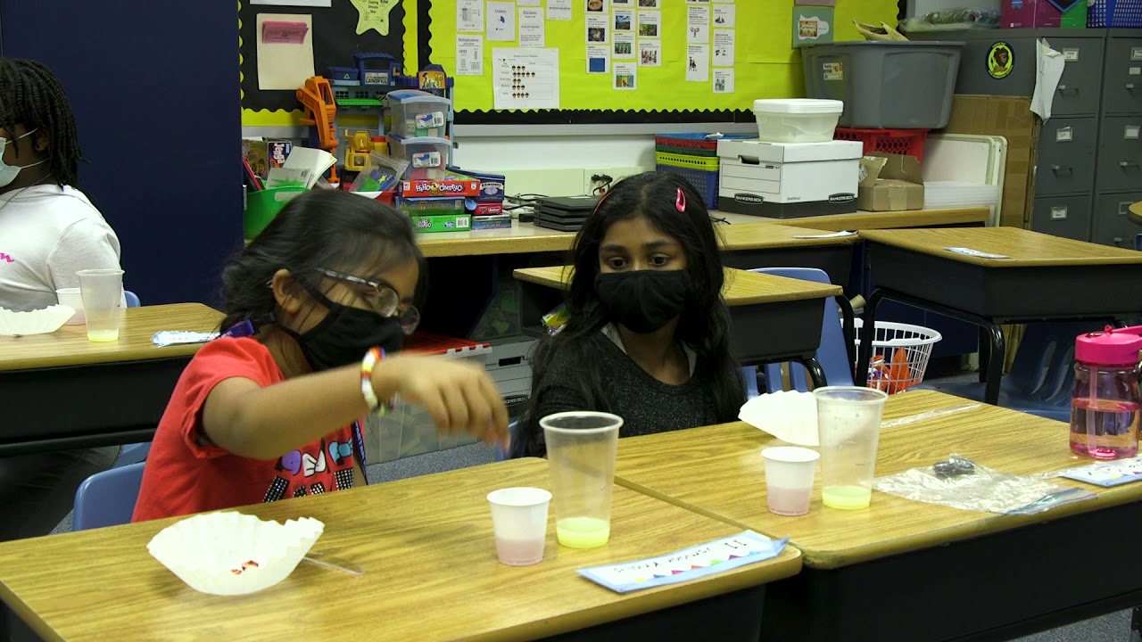 King Elementary School science club conducts experiments with cranberries