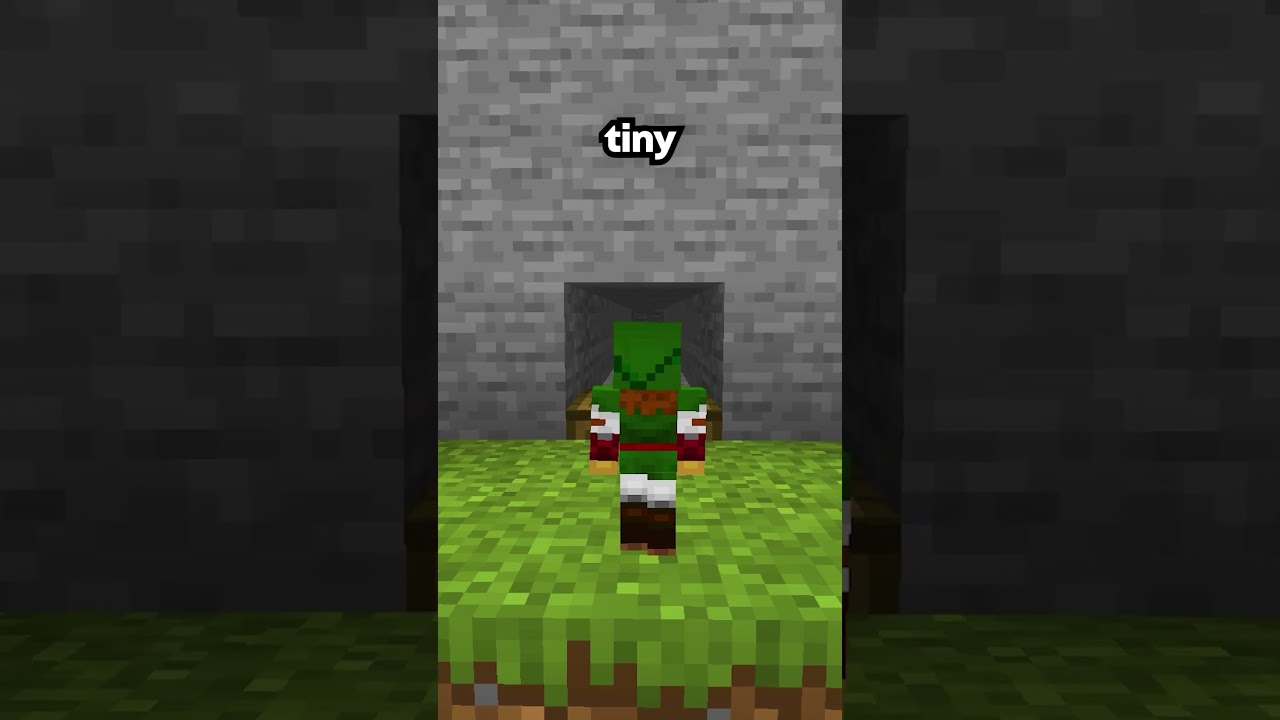 This player could fit INSIDE shulker boxes on my Minecraft server #minecraft #server #smp
