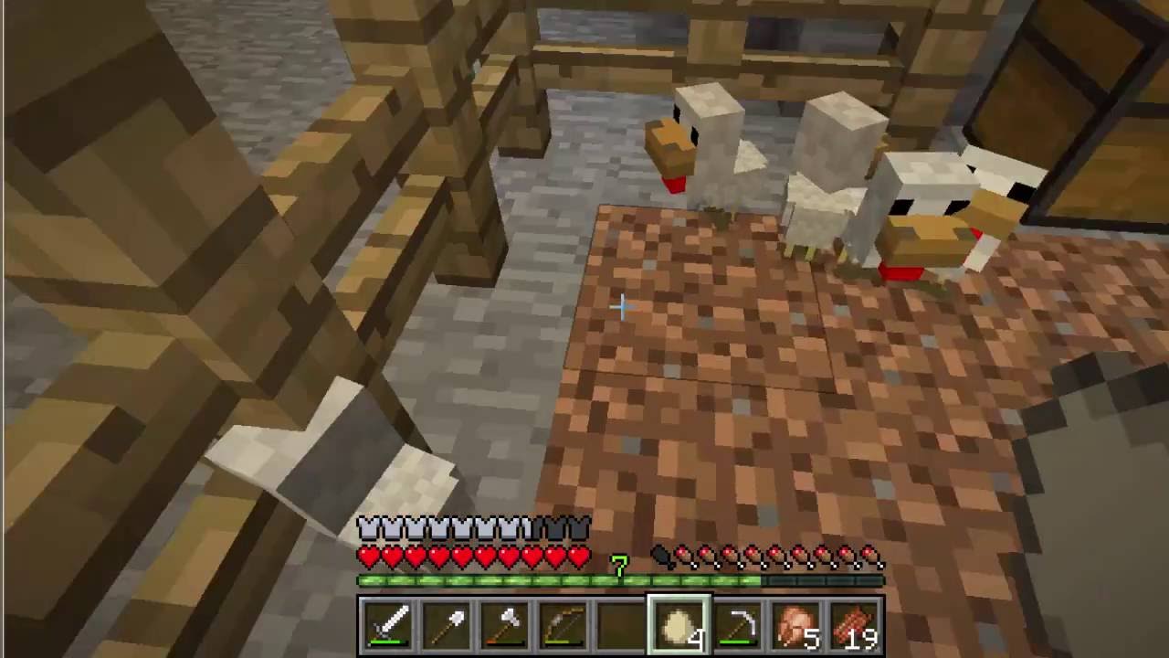 SUPER RARE!  1 in 256 Chance - I spawned 4 Chicks with one egg!