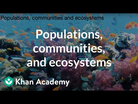 Populations, communities, and ecosystems (video) | Khan Academy