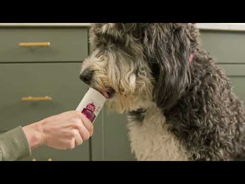 Twist+Lick SimPill Pilling Solution for Dogs