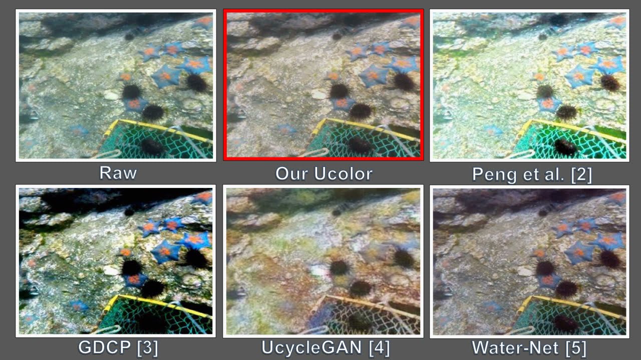 Underwater Image Enhancement via MediumTransmission-Guided Multi-Color Space Embedding