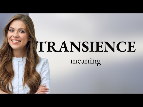 Transience | what is TRANSIENCE definition