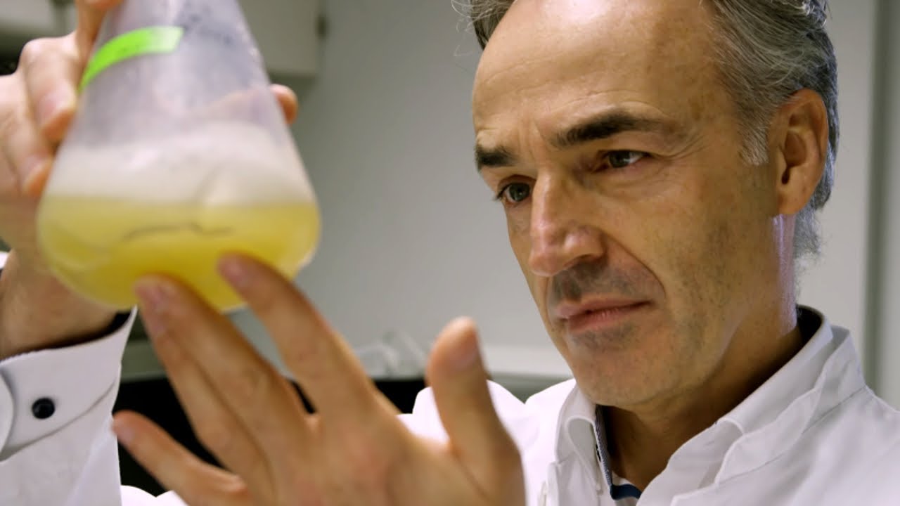 The CRISPR Revolution: Hacking the Genetic Code