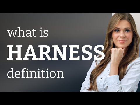 Harness | what is HARNESS definition