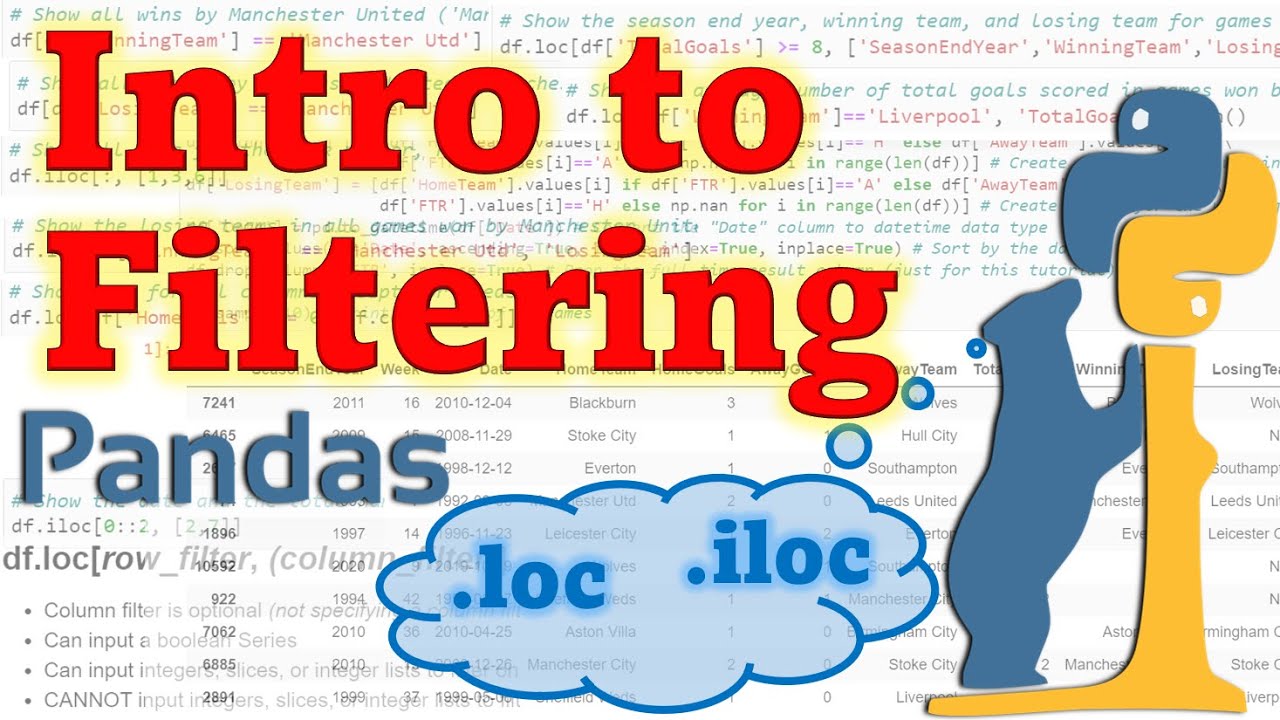 Intro to Data Filtering | .loc & .iloc | Pandas (Python) | Data Analyst Skill Tutorial #6