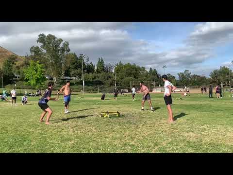 WySpike Synergy Midlights - Thousand Oaks