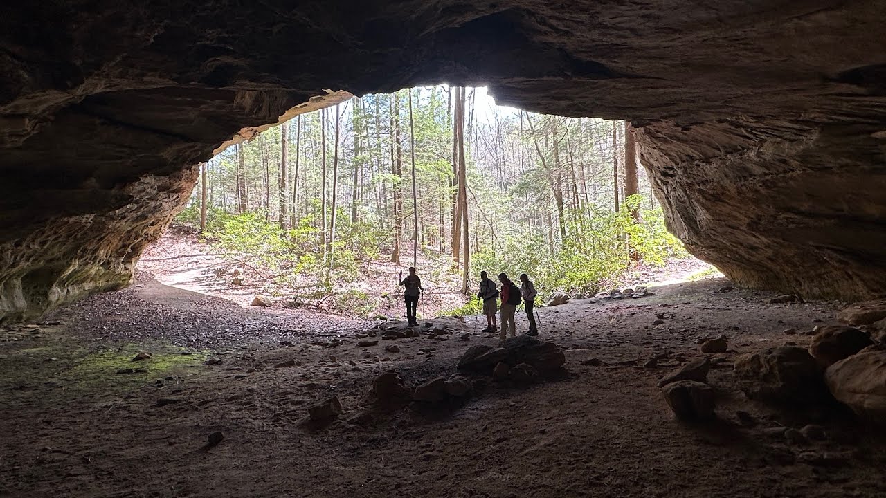 Spring Hiking in Big South Fork, Middle Creek Nature Loop, Amazing Wildflowers at Leatherwood Ford 
