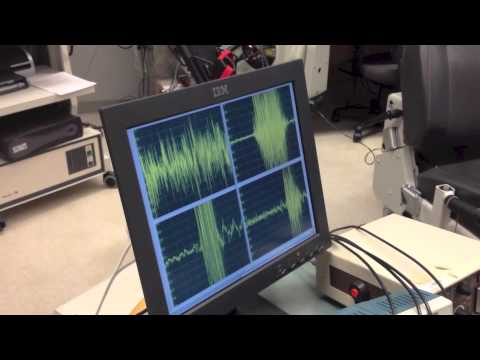 Neurophysiology Lab | U School