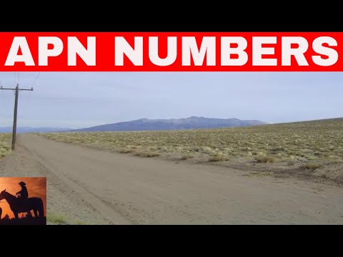 How To Find Your APN Number In Real Estate Investing