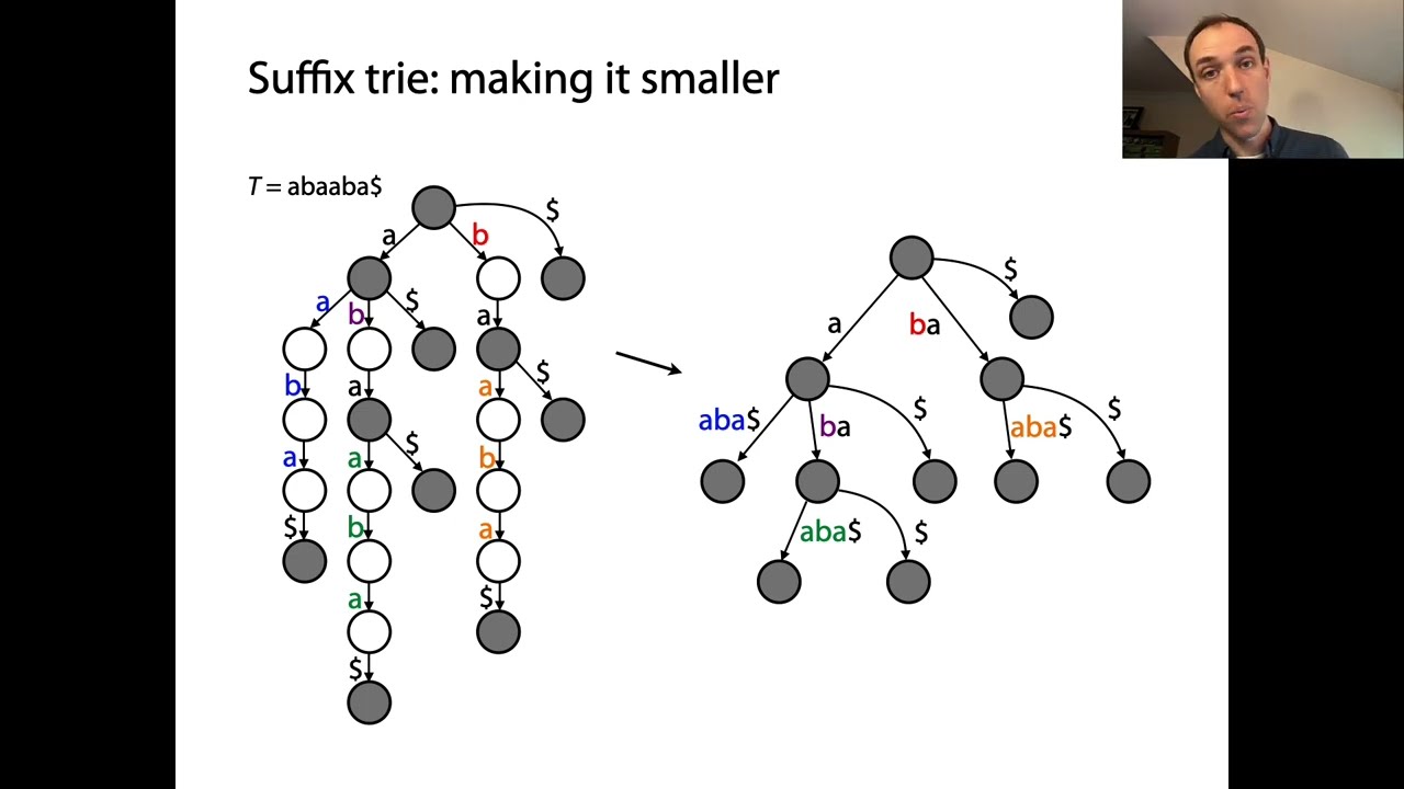 Suffix trees: definition & size