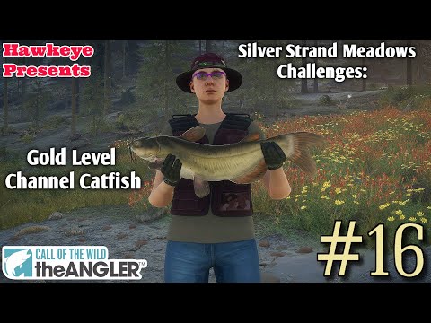 Steam Community :: Video :: Call of the Wild: The Angler #15 - Silver Strand Meadows Challenges ...