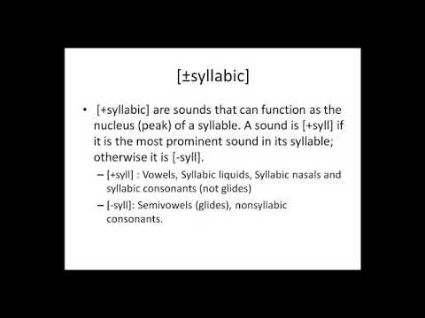 06. Distinctive Features