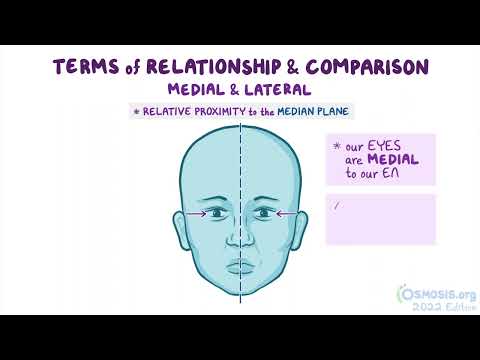 [2022] Anatomical Terminology - Full Lecture