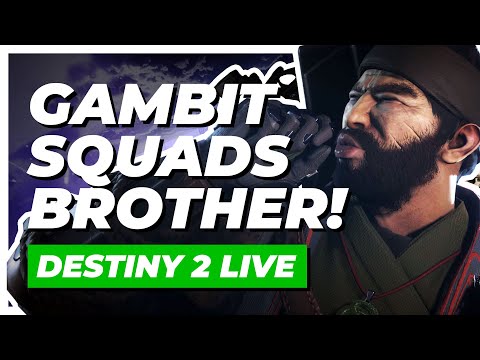 Steam Community :: Video :: GAMBIT SQUADS, BROTHER! | Destiny 2 Livestream