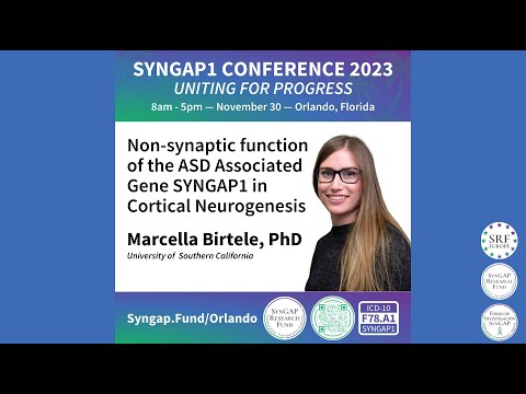Non-synaptic function of the ASD Associated Gene SYNGAP1 - MARCELLA BIRTELE, PhD