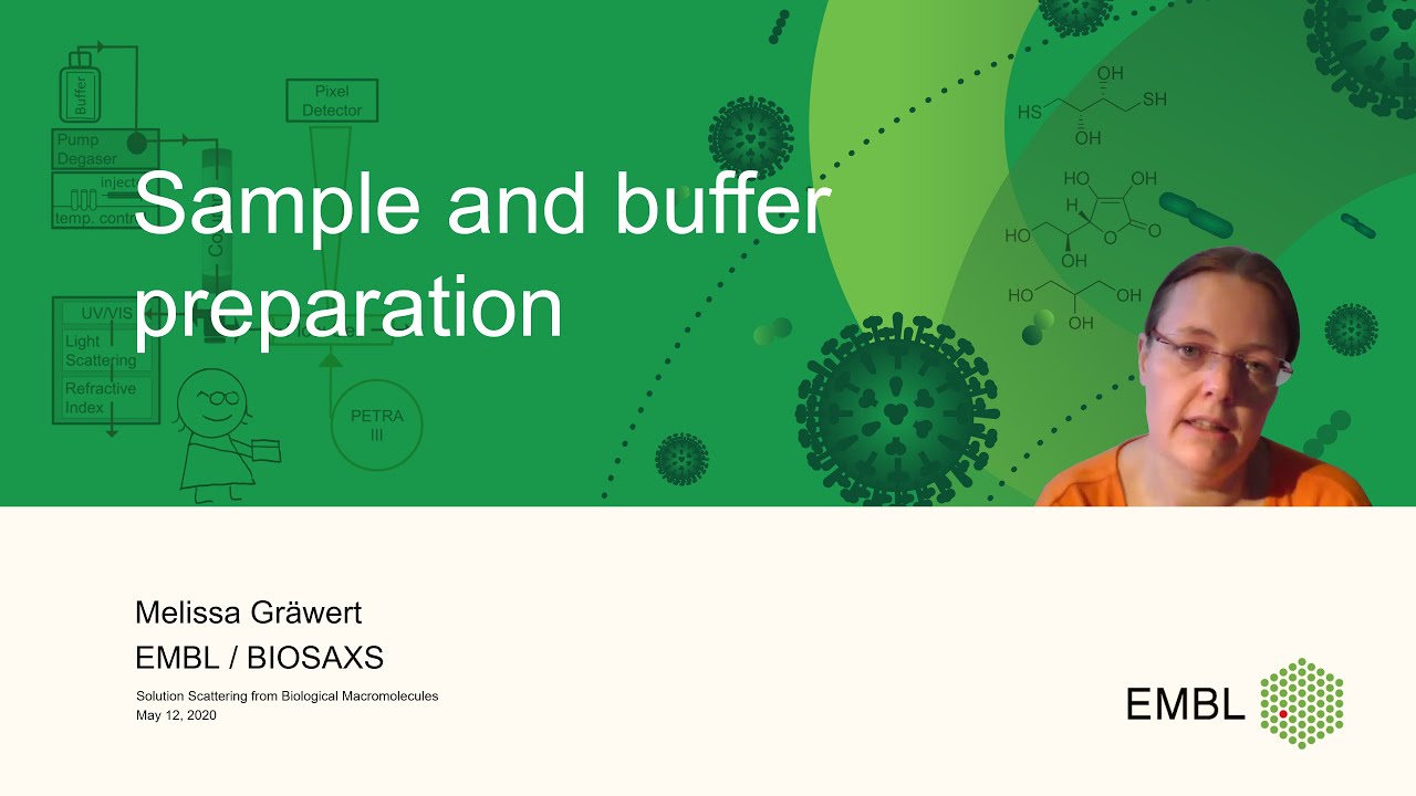 SAXS: sample and buffer preparation