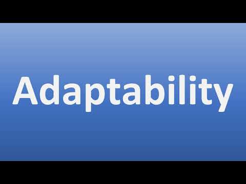 How to Pronounce Adaptability