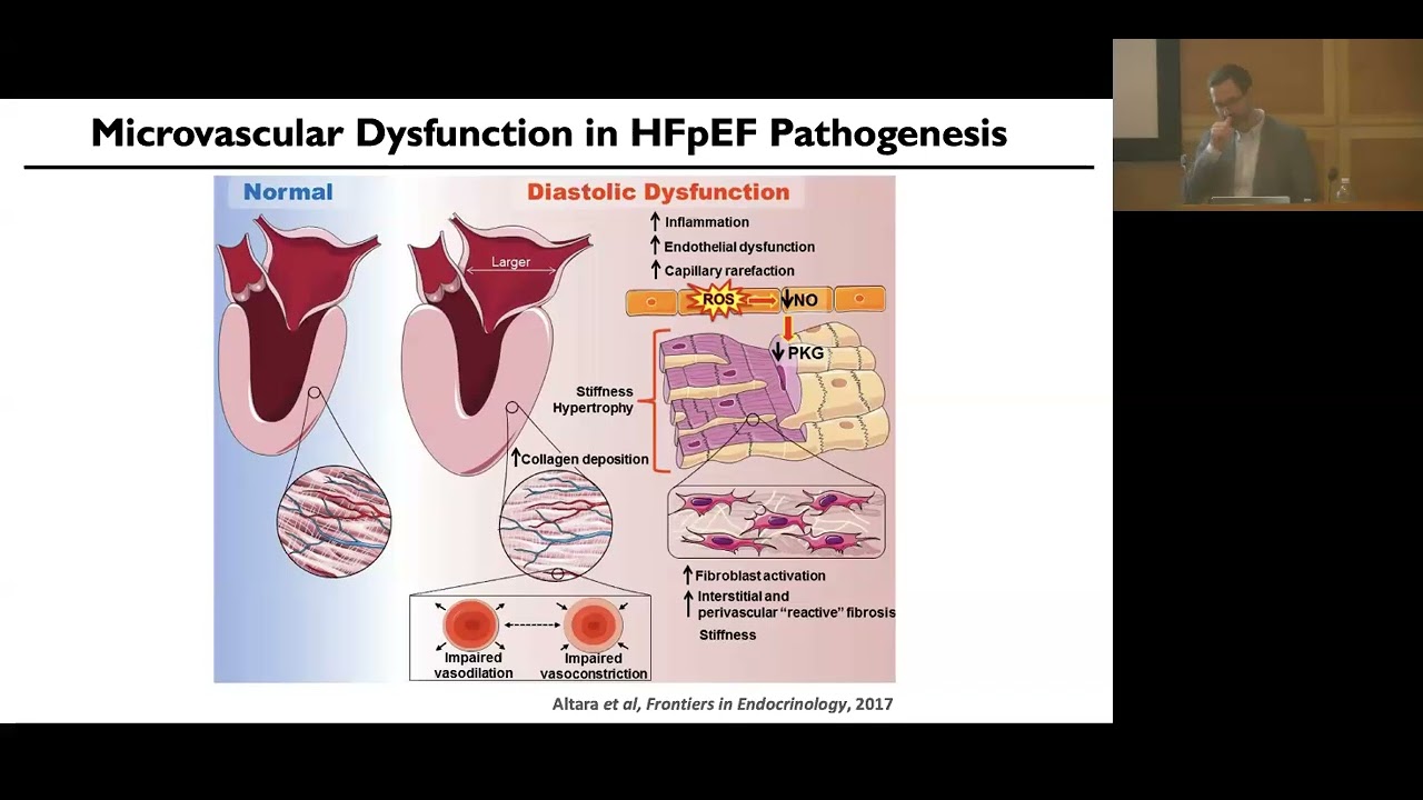 Extracellular Vesicles as Mediators of Cellular Communication in the Heart and Brain