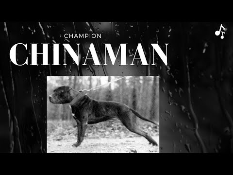 CHAMPION CHINAMAN SAGA