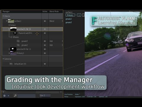 Grading with the Manager - Flame 2020