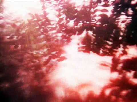 Migration Poem – kristy lovich