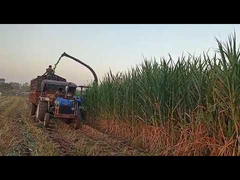 Forage Harvester - Challenger 3 Forage Harvester Manufacturer from Ahmedabad
