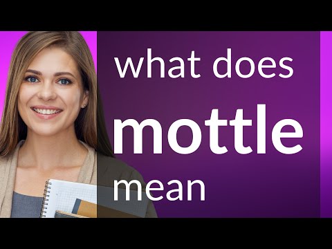 Mottle | definition of MOTTLE