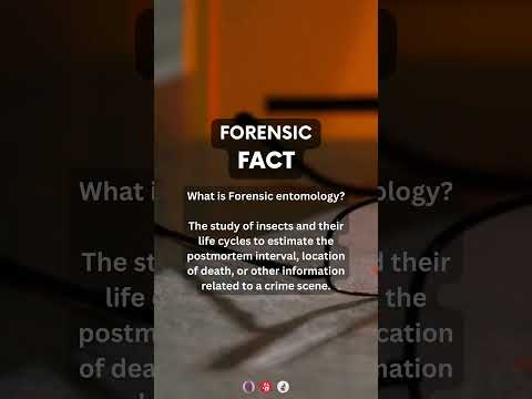 What is forensic entomology? | #forensicscience #forensics
