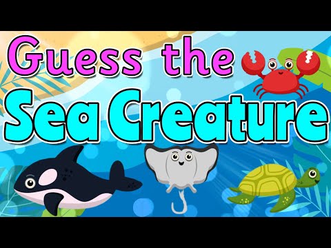 GUESS THE SEA CREATURE QUIZ 🦞🦈🐠 Miss Ellis
