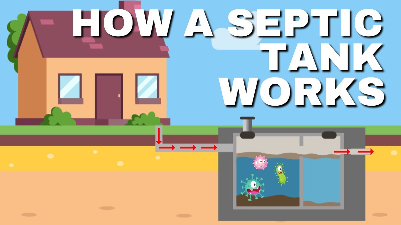How a Septic Tank Works: 7 Essential Maintenance Tips for a Healthy System!