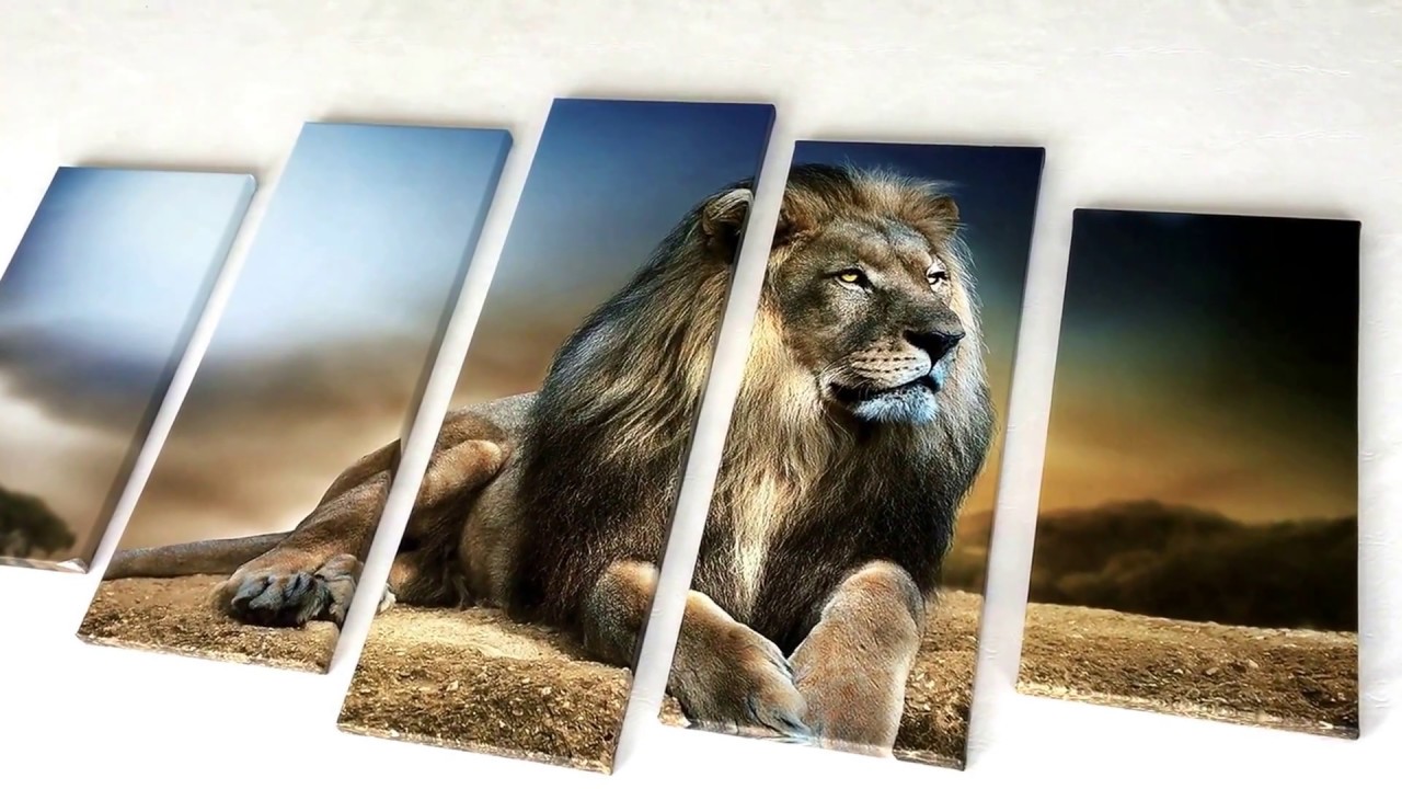 Eutisona Cuadros - León