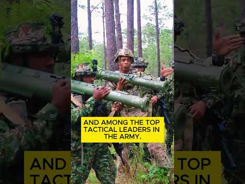 What is the U.S. Army SFAB? 🧐