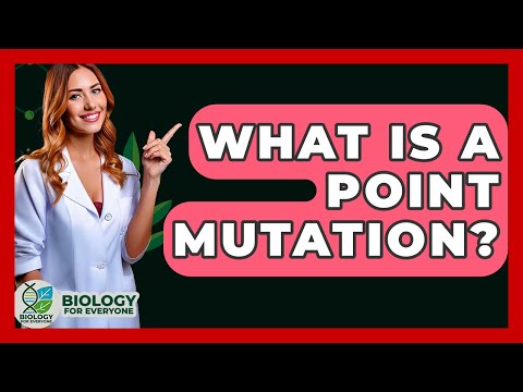 What Is A Point Mutation? - Biology For Everyone