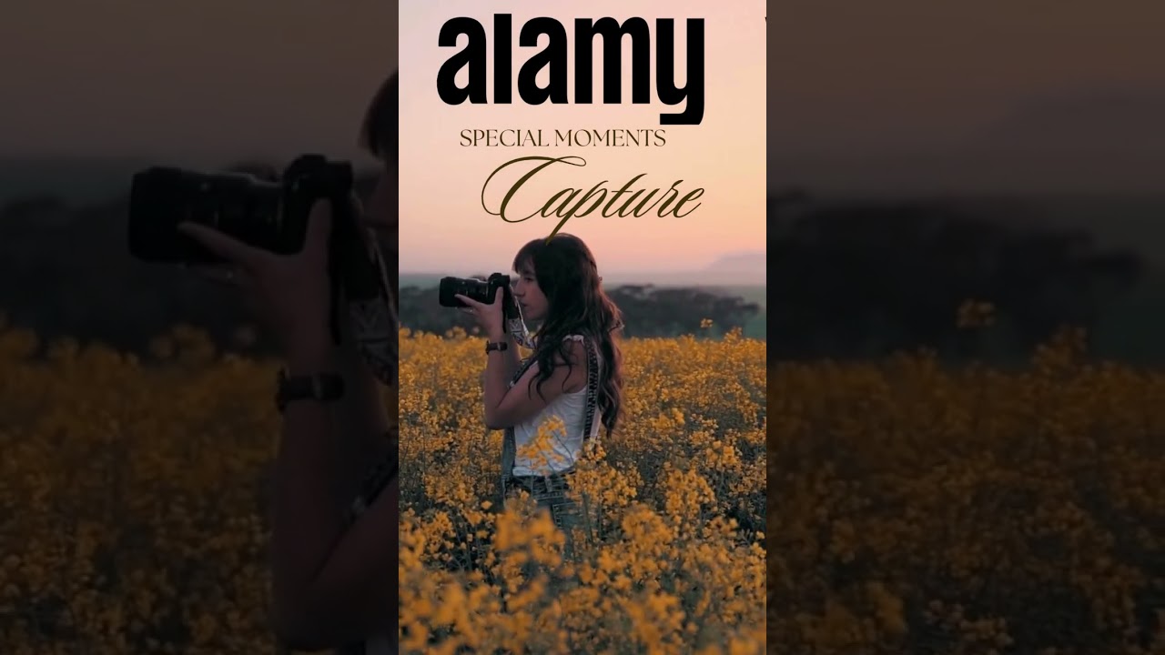 “Alamy: Up to 70% Off On Stock Photos, Videos, and Illustrations!”