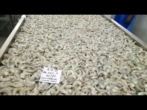 Frozen Sea Foods - Wholesale Price & Mandi Rate for Frozen Sea Foods in ...