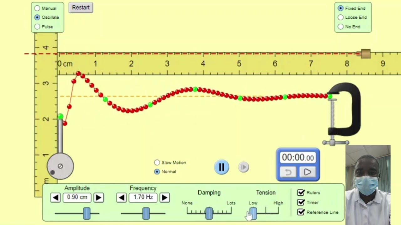 Wave on a String simulation | Science Experiment
