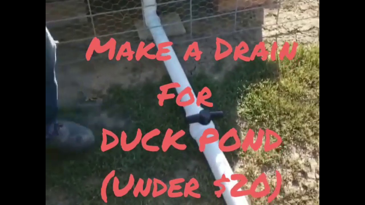 DIY  Duck POND Drain. (Under $20)