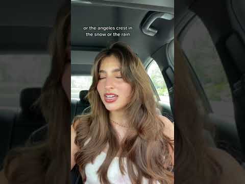 Andrea Bejar - Songs, Events and Music Stats | Viberate.com