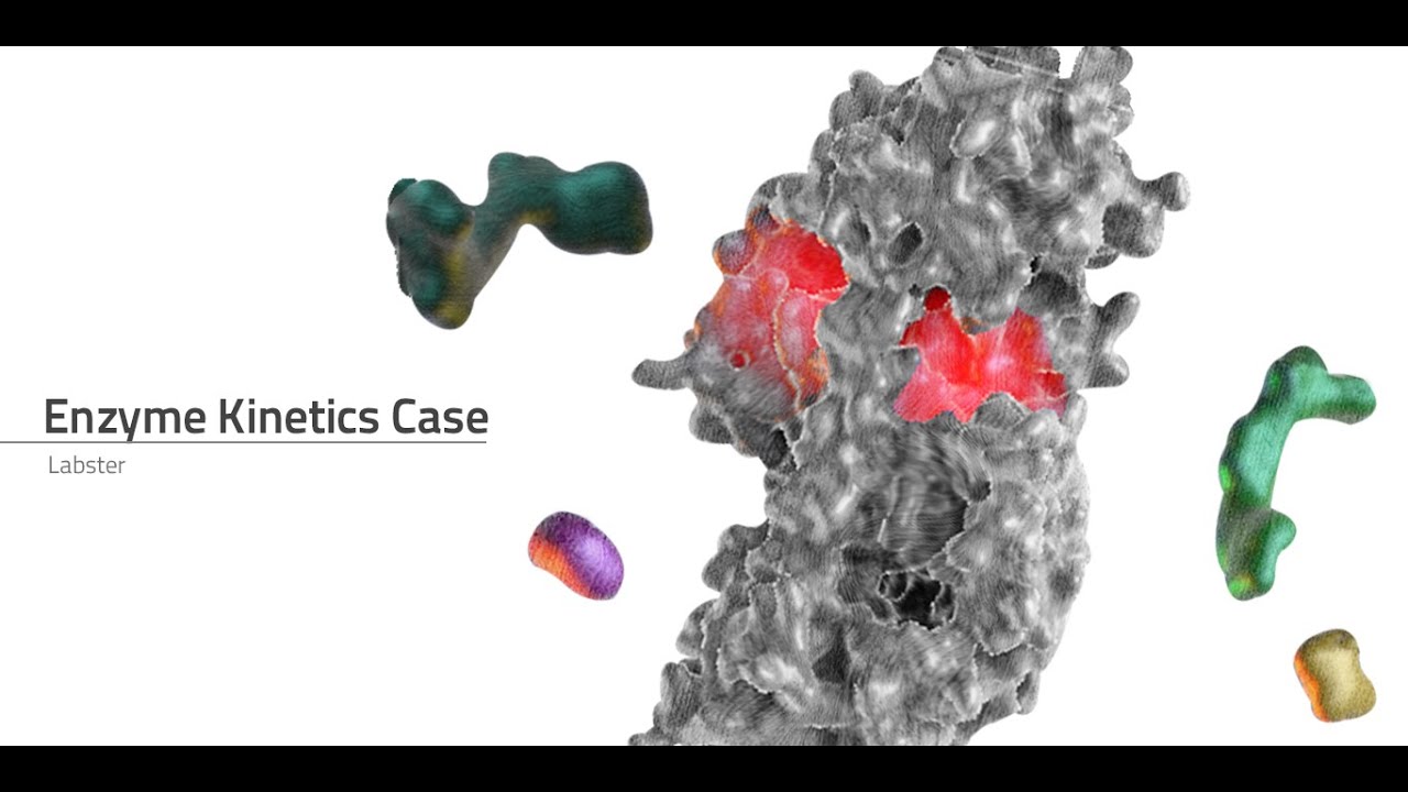 Labster Virtual Lab: Enzyme Kinetics Simulation
