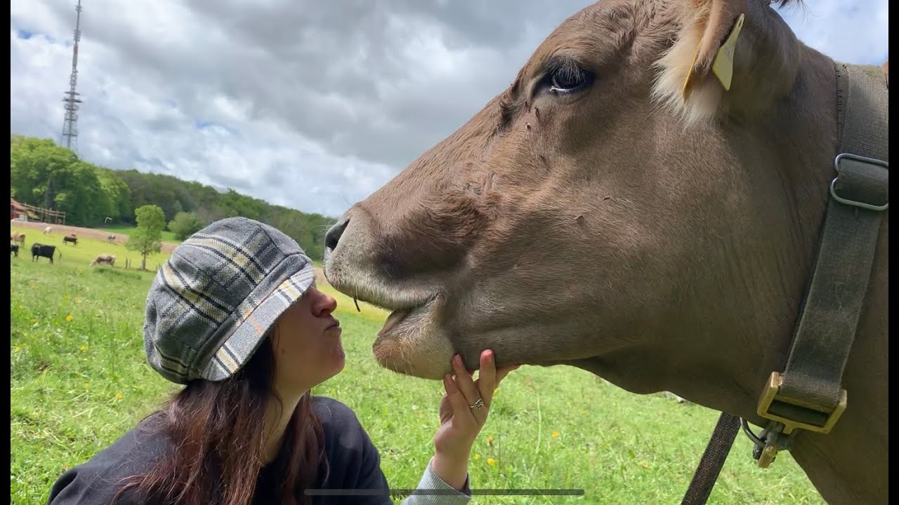 New Viral Video Challenge... Kissing Cows?! | Mustang | Louisiana's ...