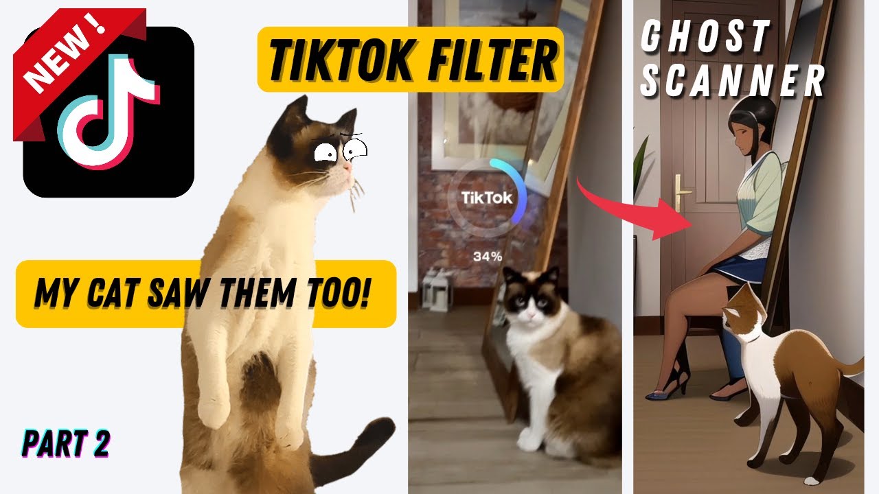 Paranormal Activity! The New Viral Tiktok AI Filter Can Detect Ghosts! 😱 My Cat Saw Them First! 🙀