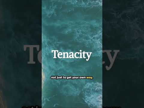 Tenacity - Theres a Word for That