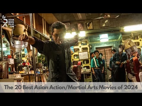 The 20 Best Asian Action/Martial Arts Movies of 2024