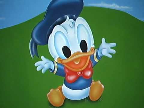 Gufi bebé - Imagui