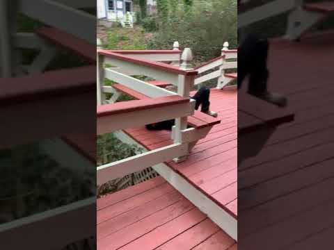Two Tone Deck Rebuild in Raleigh, NC