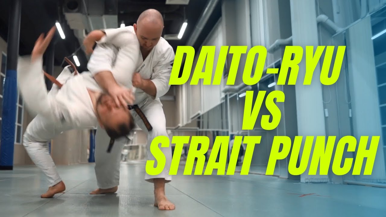 Daito-ryu techniques vs straight punch
